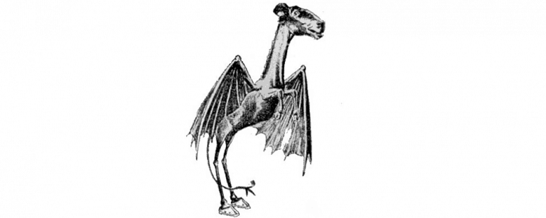Five Cryptids That Are A Bit More Real Than You May Like – Preps Life